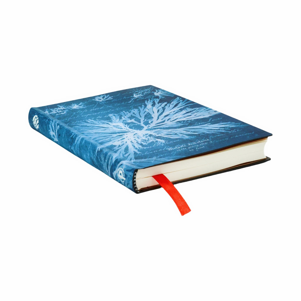 NYPL Anna Atkins' Sea Flowers Journal | The New York Public Library Shop