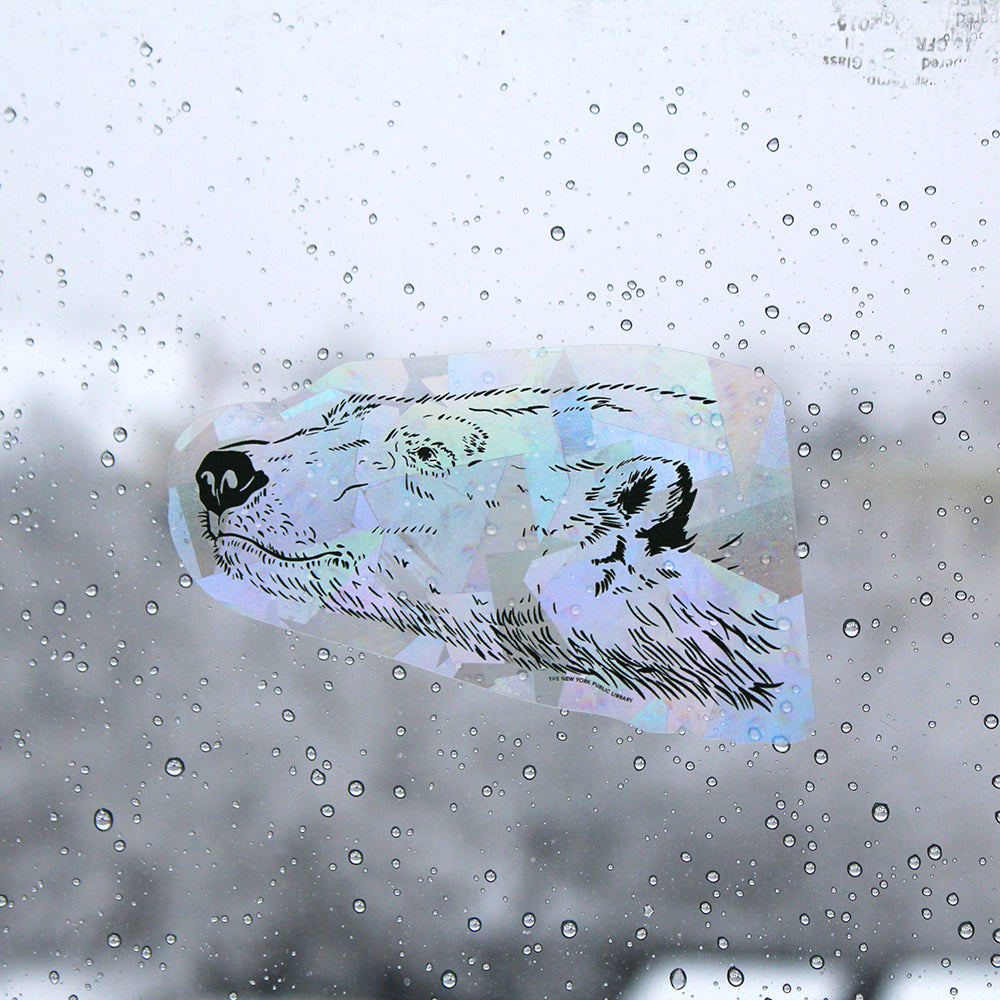 Rainbow Polar Bear